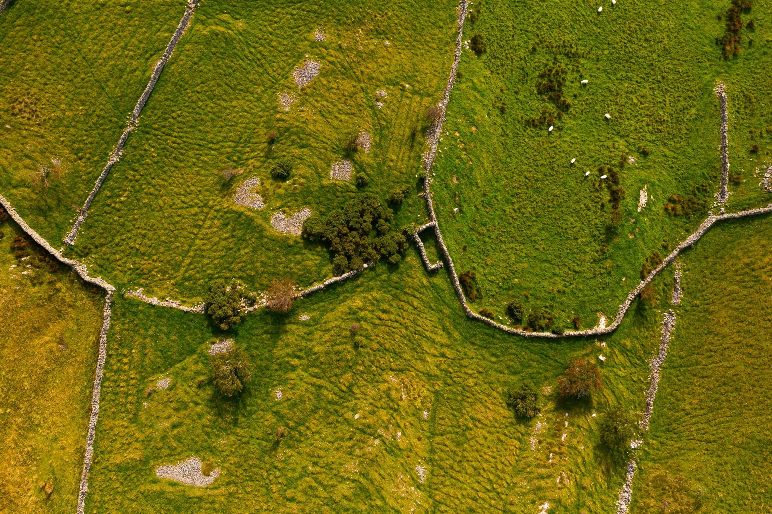 Newsletter Issue 7 - October 2022 — Joyce Country & Western Lakes ...