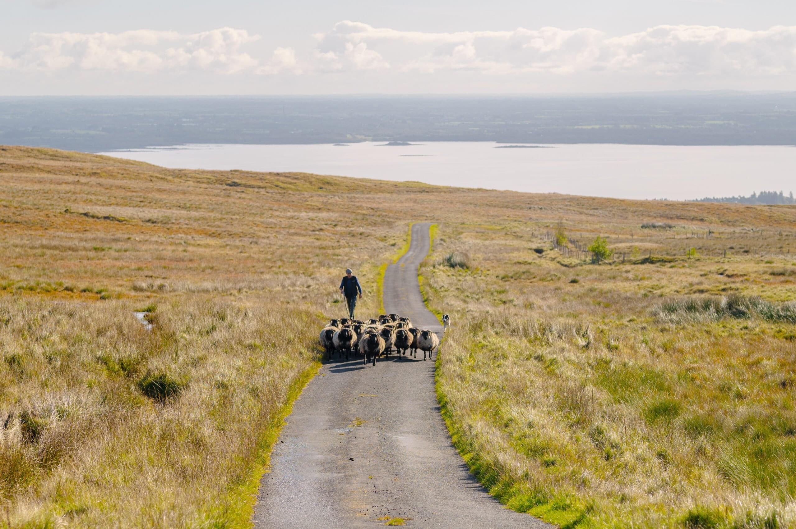 Our Community — Joyce Country & Western Lakes Geopark Project