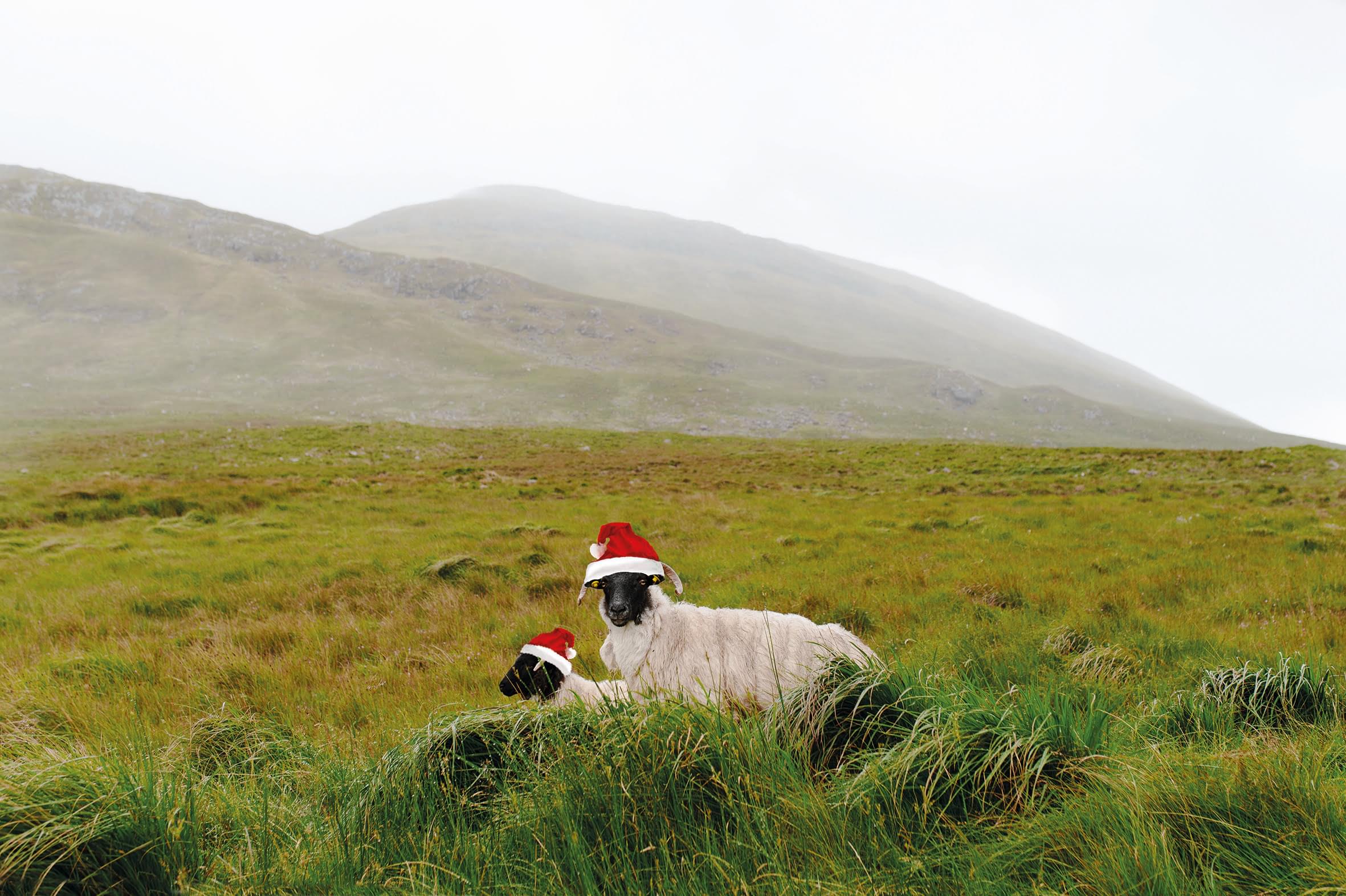 Newsletter Issue 11 - Dec 2023 — Joyce Country & Western Lakes Geopark ...